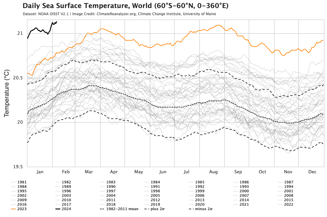 Global sea surface temperature reaches new record
